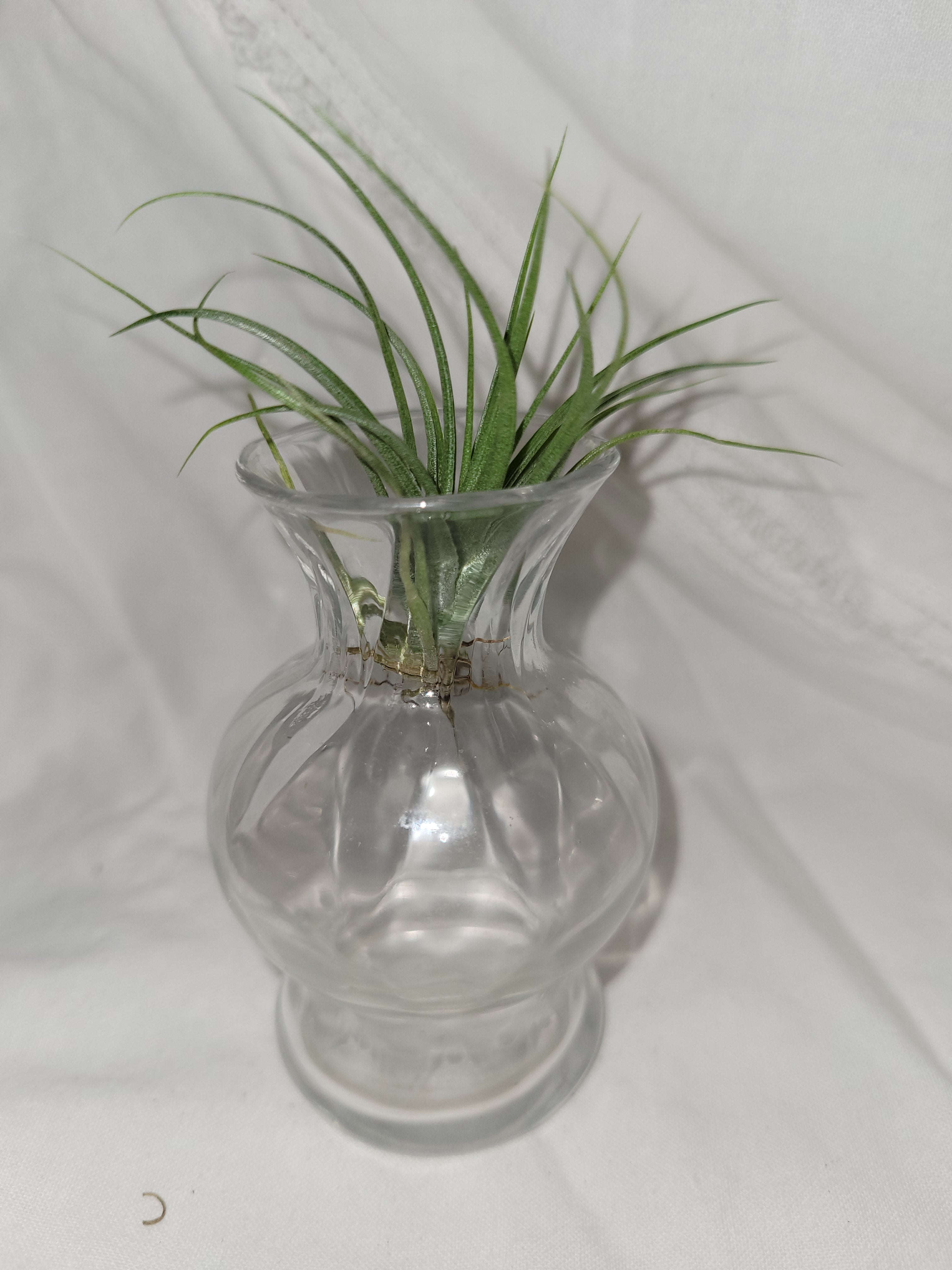 Clear Vintage or Upcycled Glass – Garden Party Ohio LLC